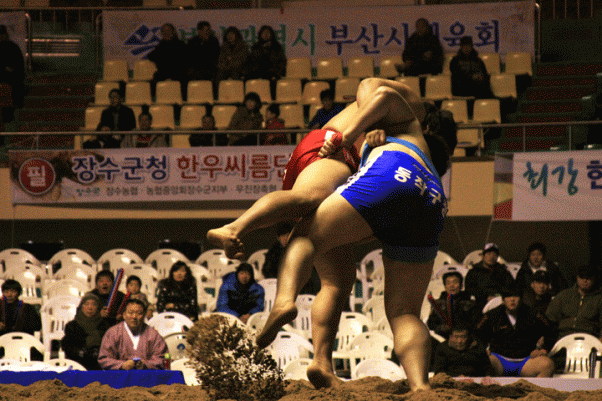 Korean Wrestle Mania: The 2012 Seollal Ssireum Tournament - Tripologist